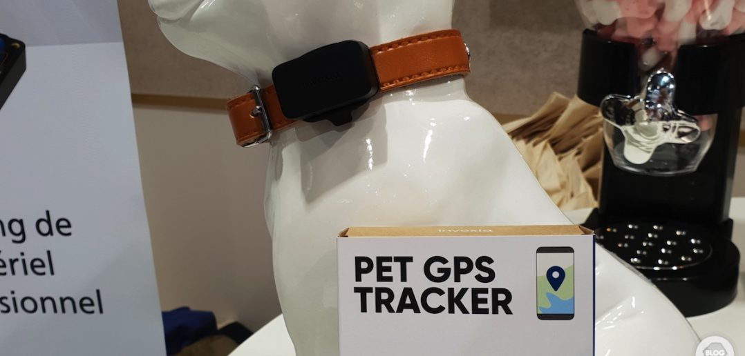 Invoxia lance Pet Tracker, pour suivre vos animaux de compagnie sans s ...